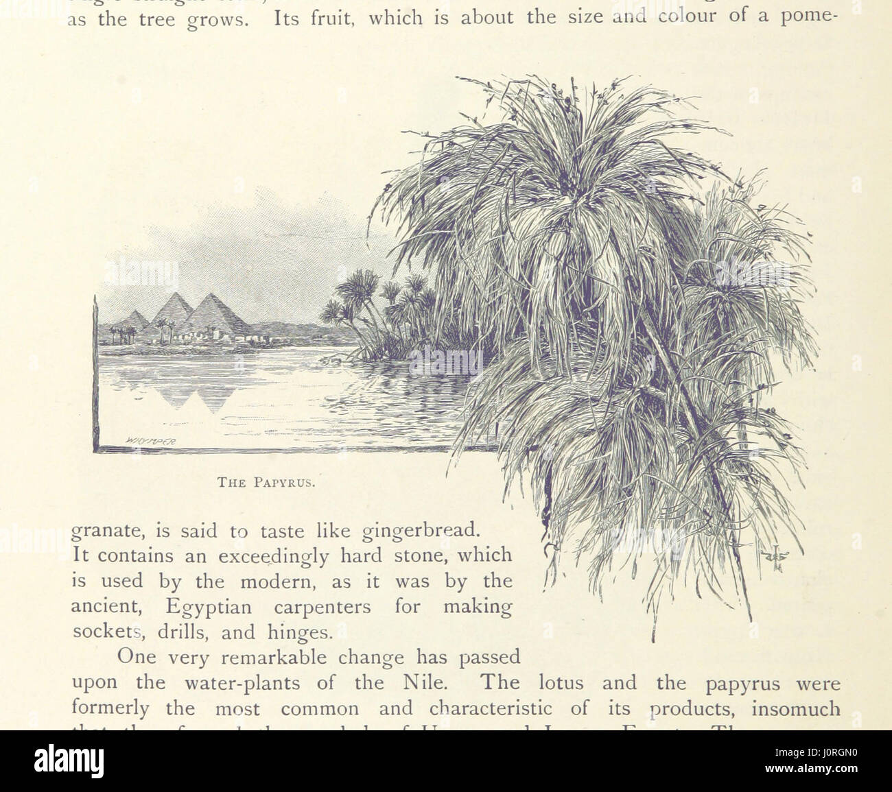'The Land of the Pharaohs' explores the ancient Egyptian civilization ...