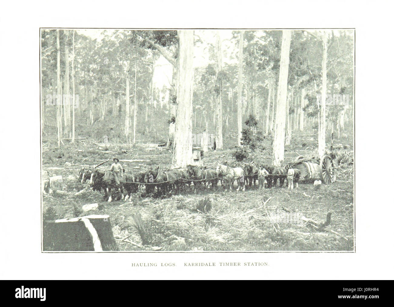 Visual representation of authors Cut Out Stock Images & Pictures - Alamy