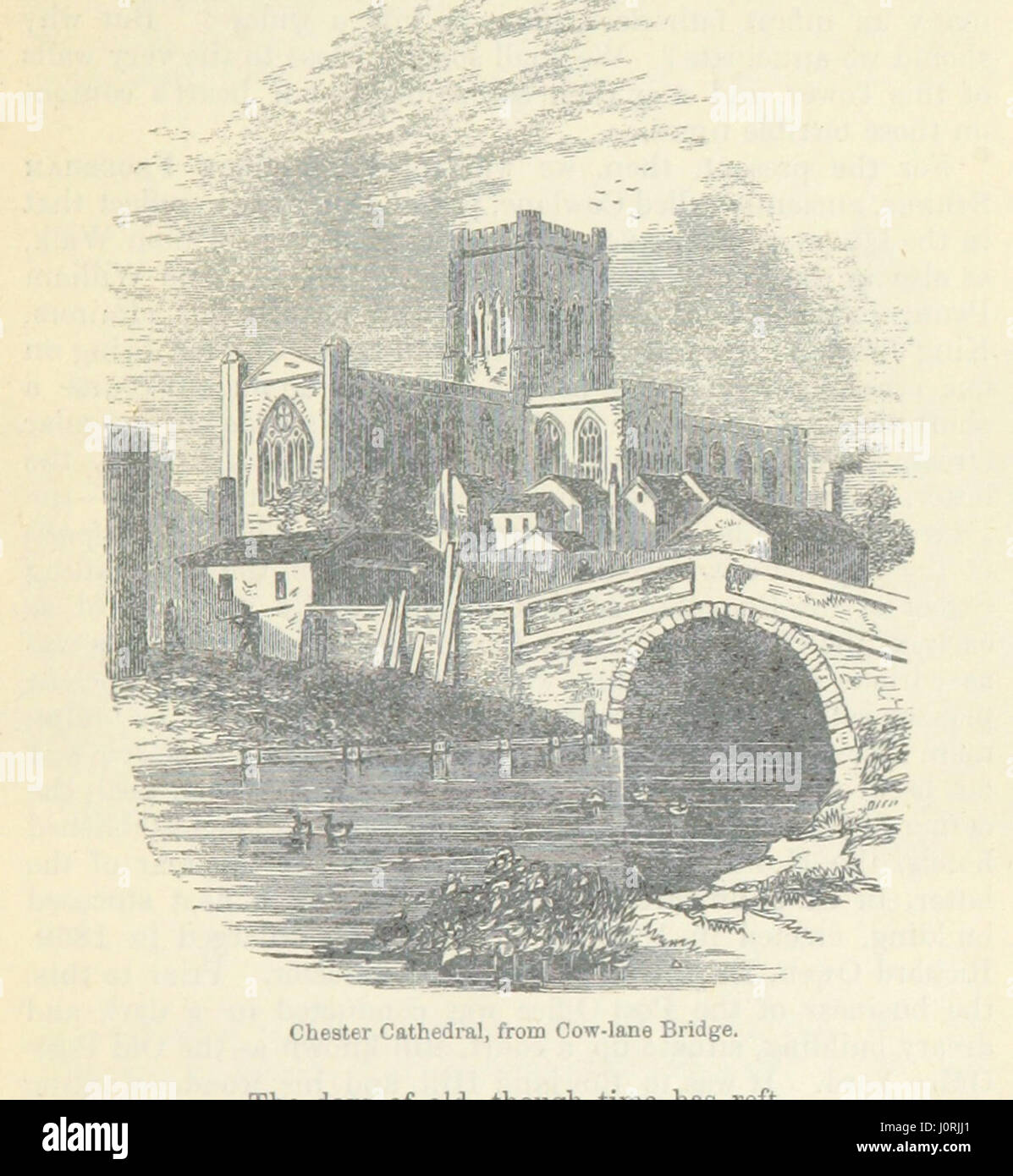 This handbook provides essential information for visitors to Chester ...