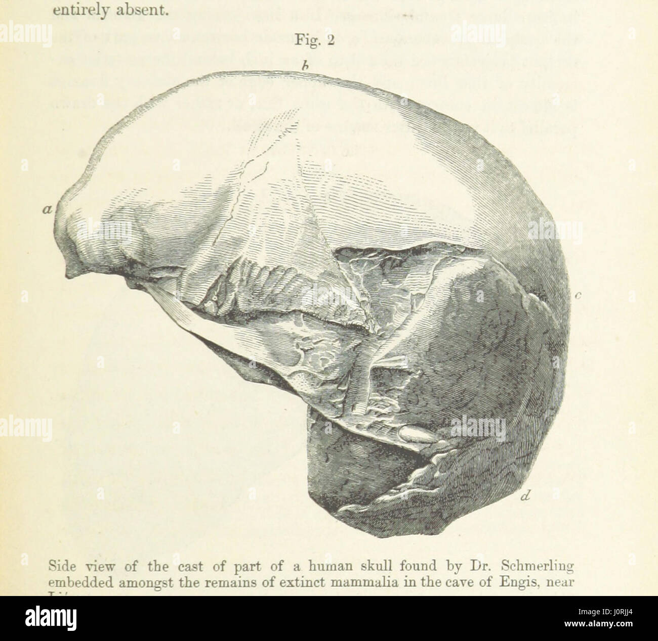 This work presents geological evidence supporting the antiquity of ...
