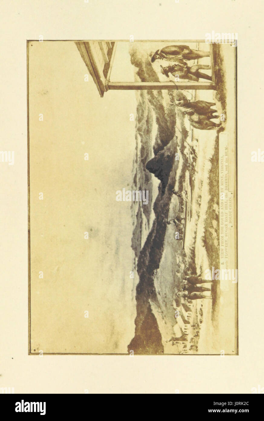 This work features a series of sketches and photographs of the Washoe ...