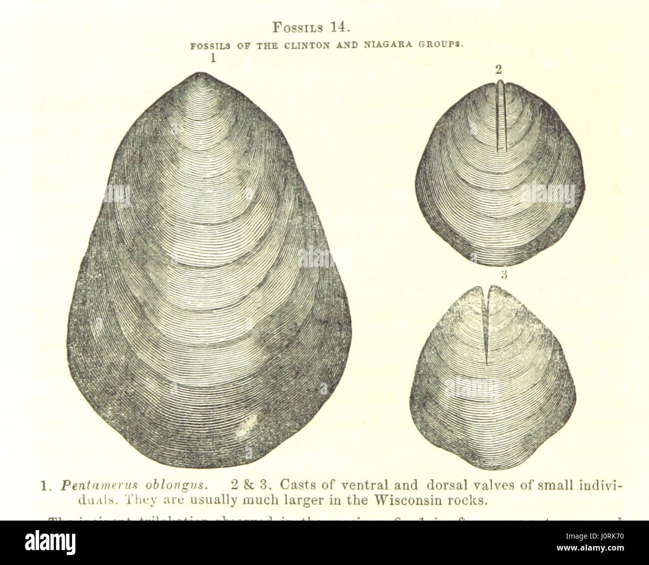 A geological survey report on the state of Wisconsin, covering general ...