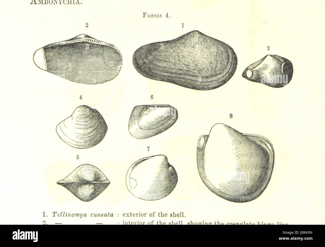 Report on the Geological Survey of the State of Wisconsin ... James ...