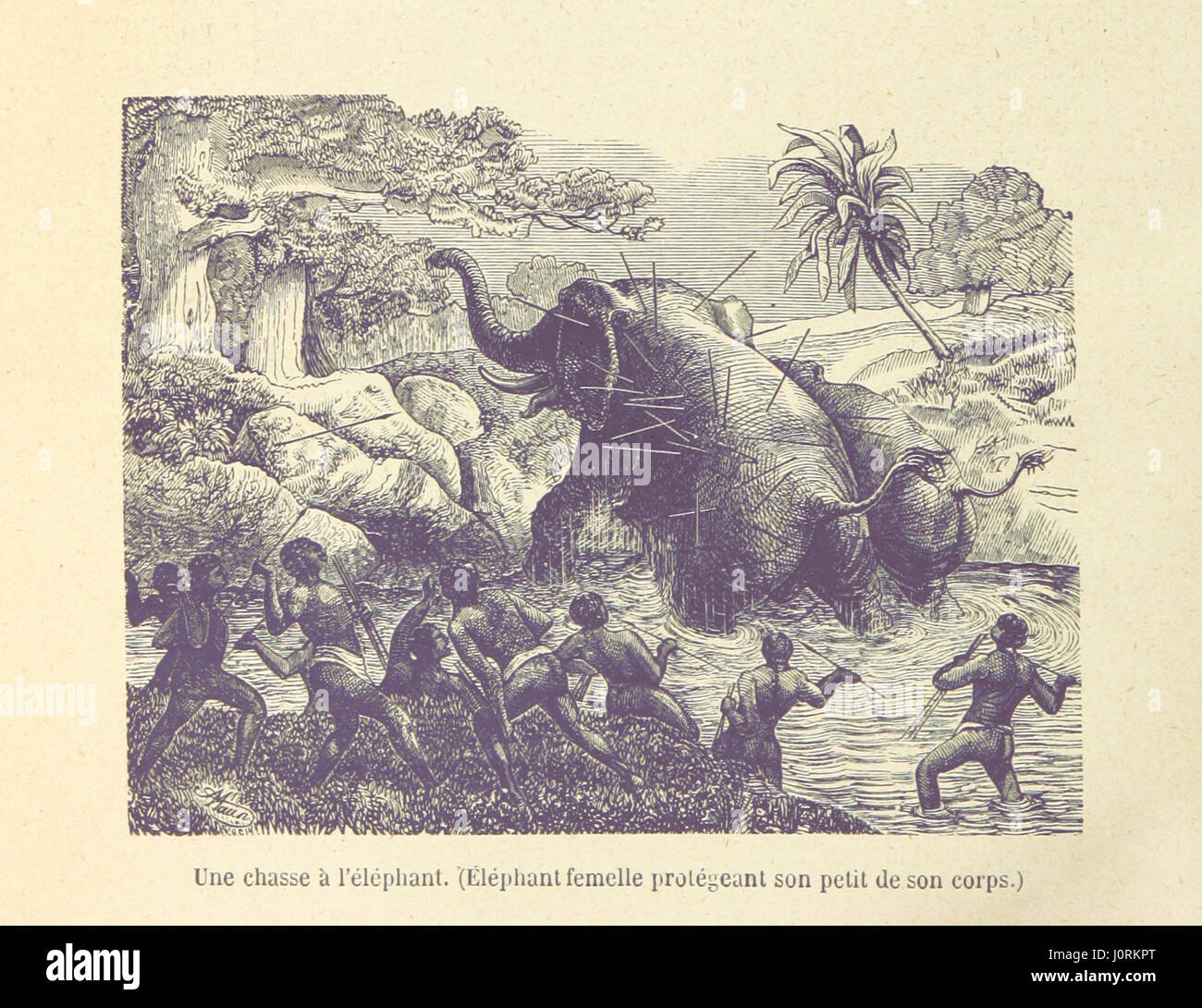 *Le Congo en images* is a children’s book telling the story of the ...