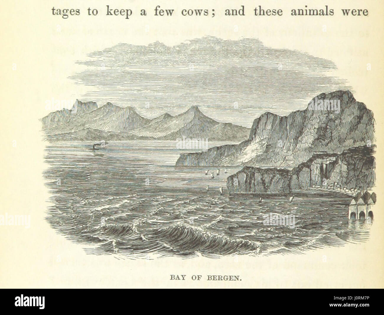 'Wild Life on the Fjelds of Norway' explores the rugged wilderness of ...