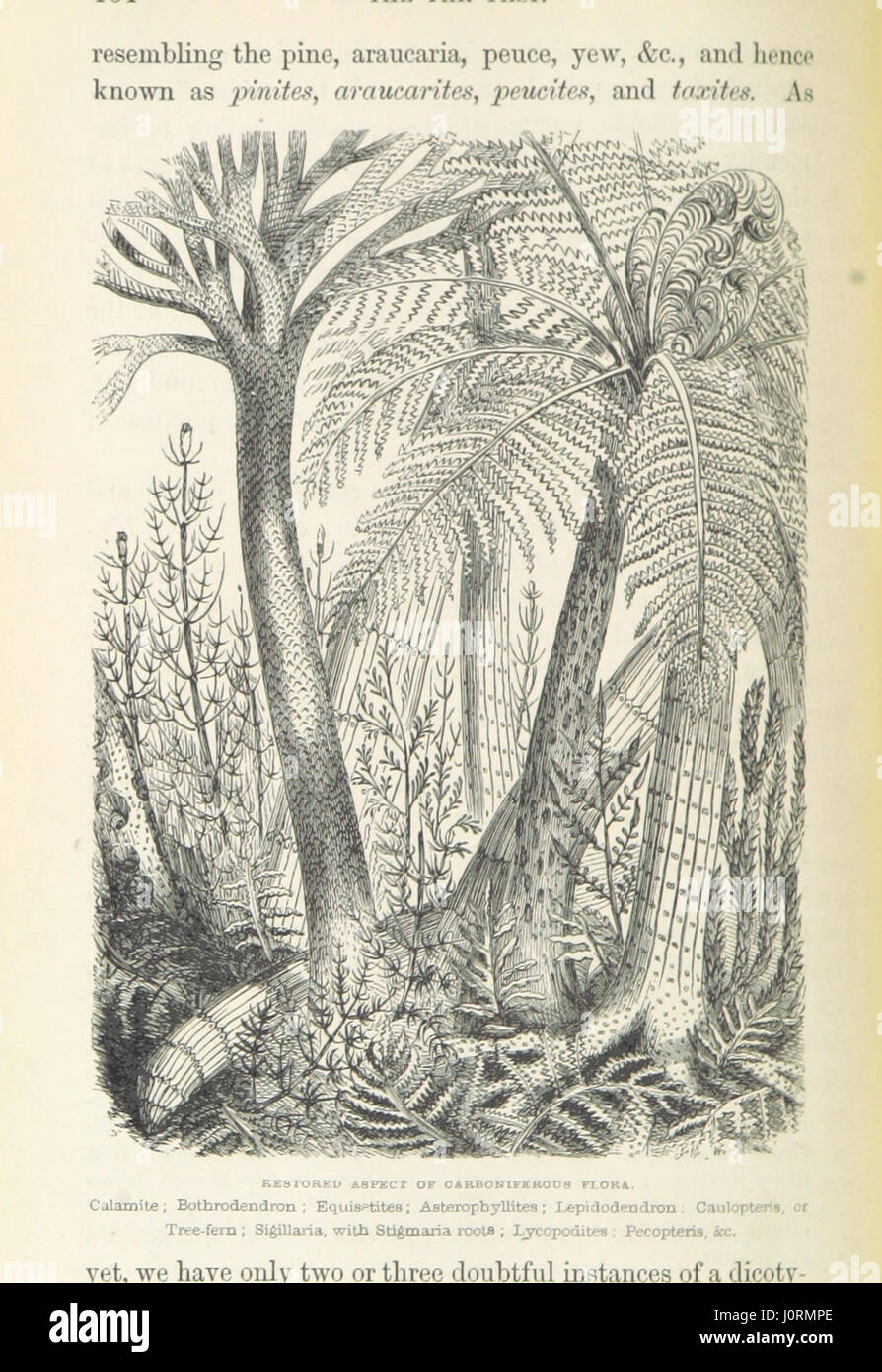 This work outlines the life system of the world, detailing the Earth's ...