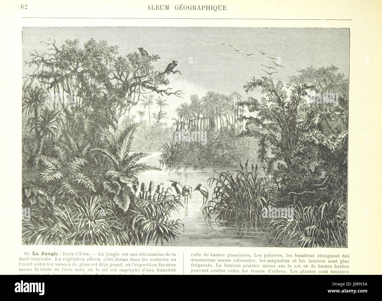 This album offers a visual exploration of various geographical regions ...