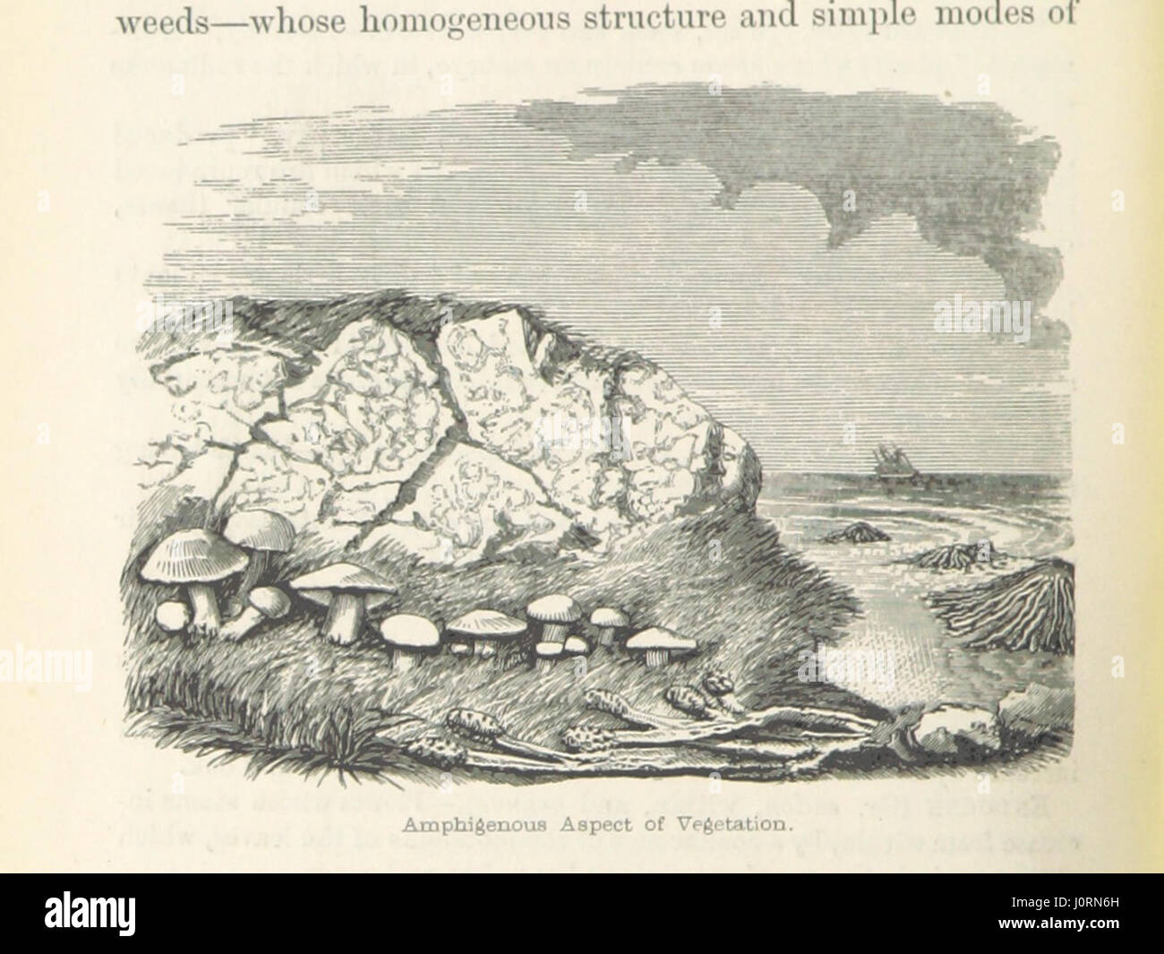 This image is from a book that provides a comprehensive sketch of the ...