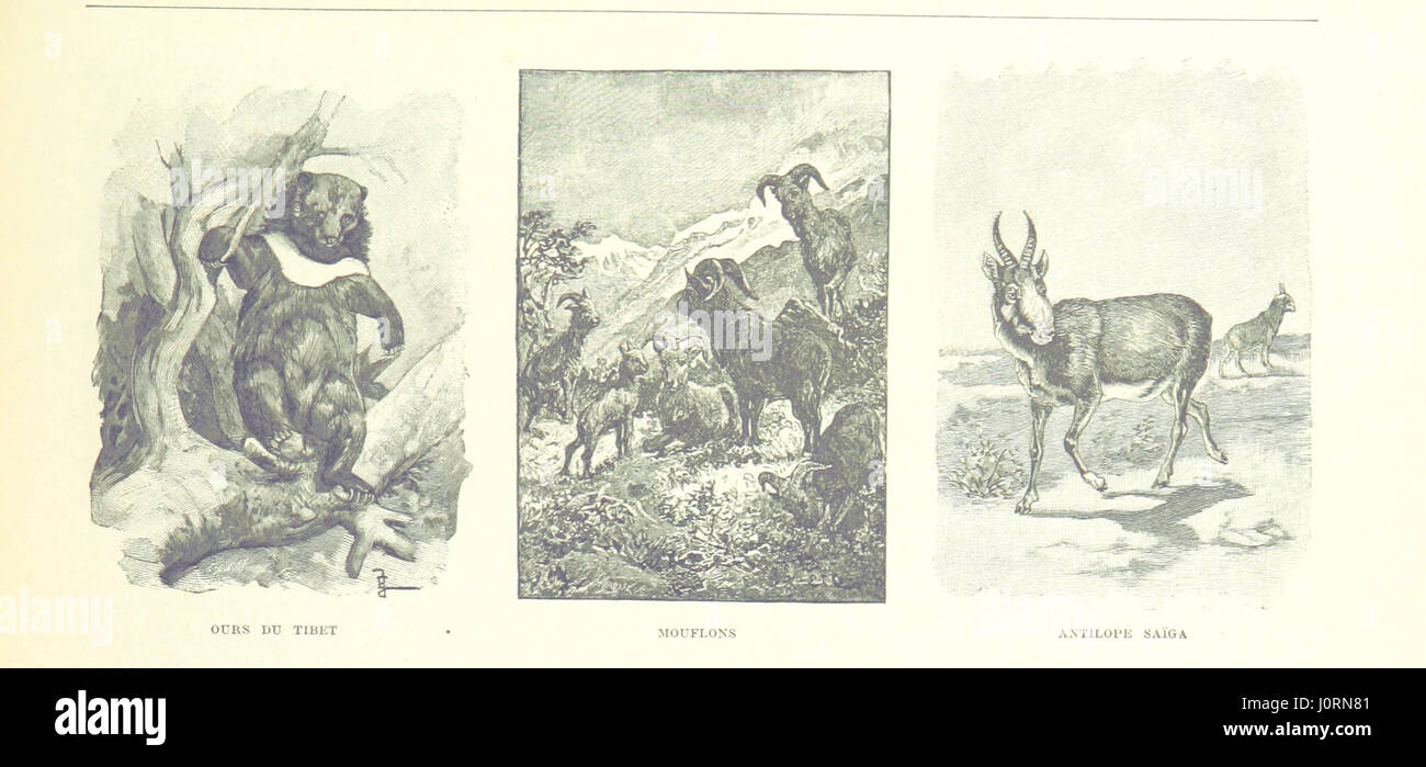 This geographical album features detailed illustrations and ...