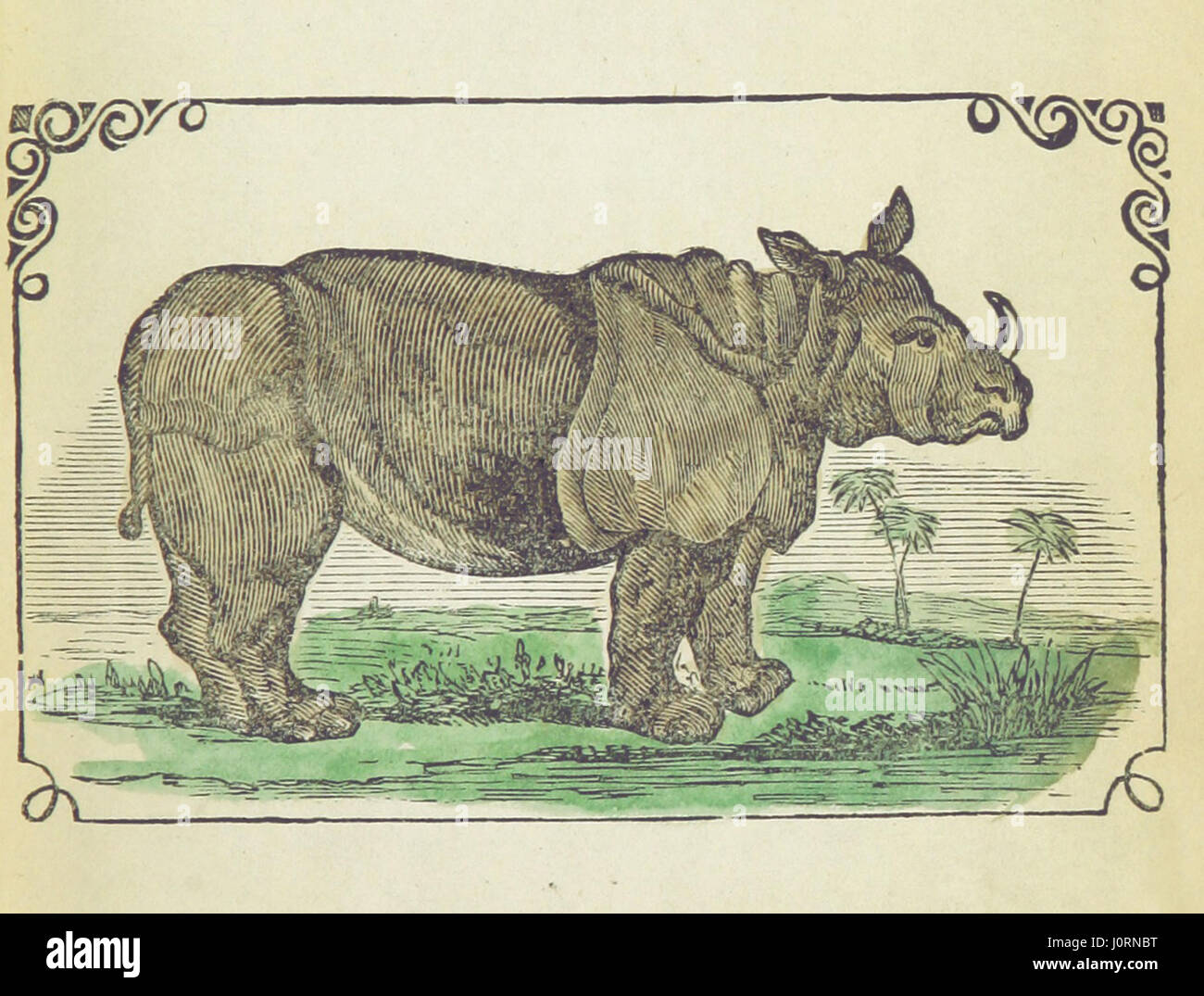 Creation of adam art gallery hi-res stock photography and images - Alamy