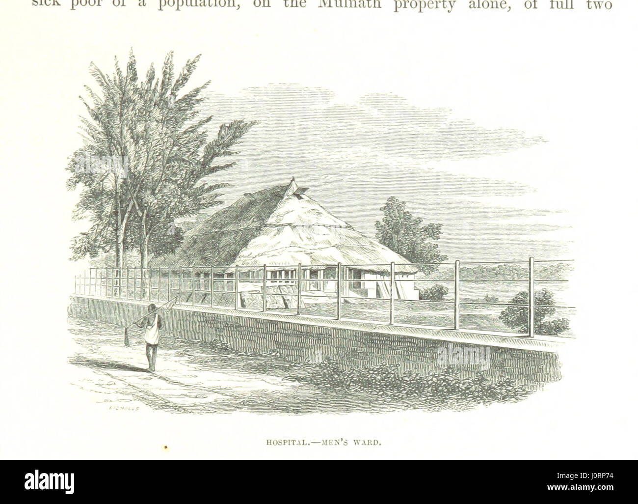 This book depicts rural life in Bengal during the British colonial era ...