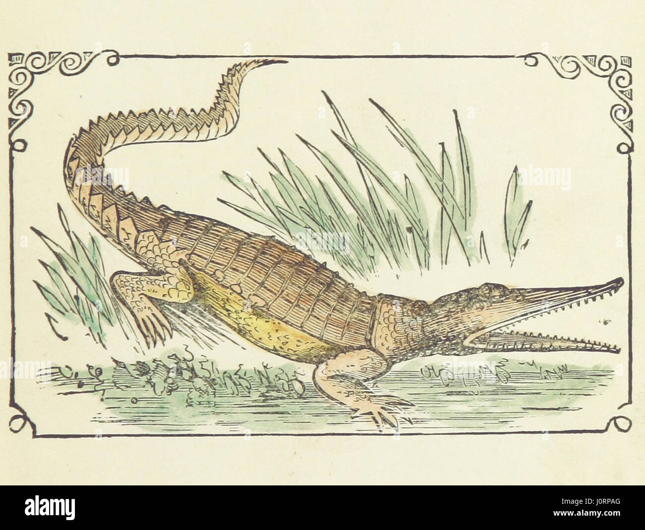 Creation of adam art gallery hi-res stock photography and images - Alamy