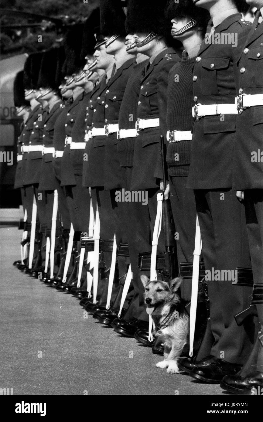Apr. 09, 1980 - The Welsh Guards Parade To Say Farewell To Rats:' At ...