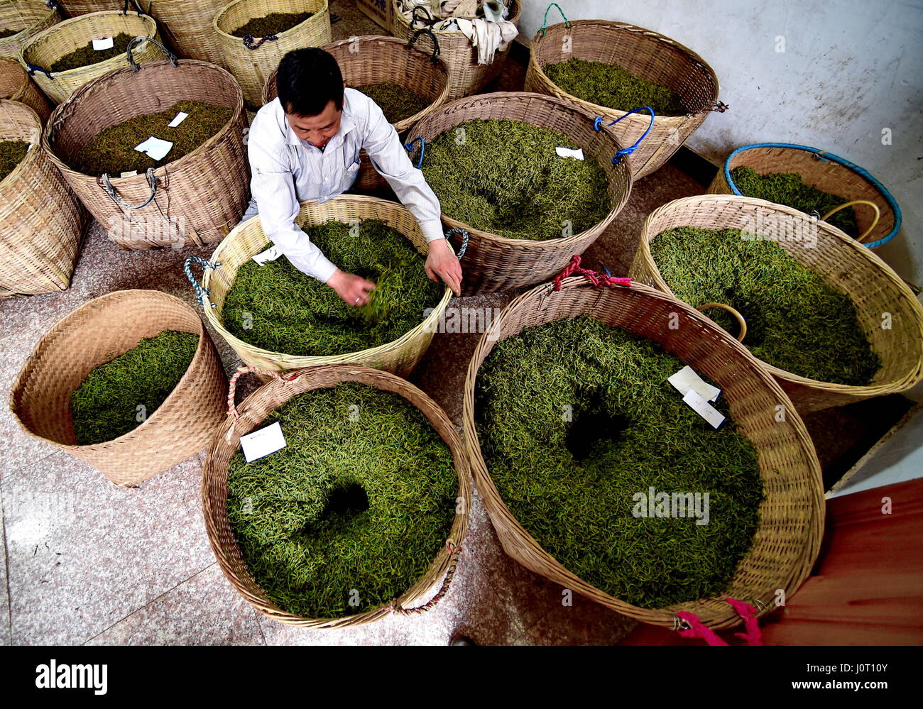 History of tea hi-res stock photography and images - Alamy