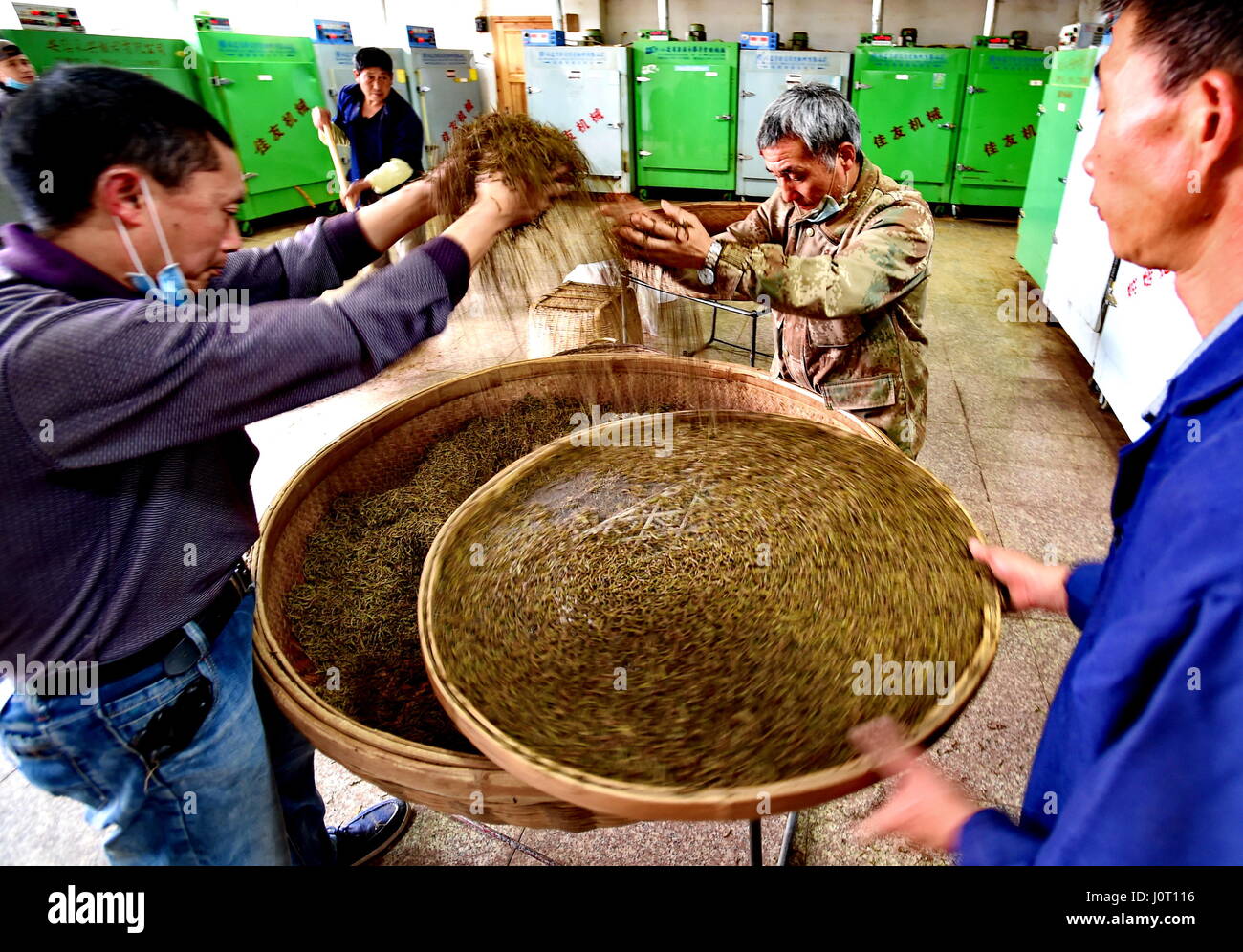 Jinjunmei hi-res stock photography and images - Alamy