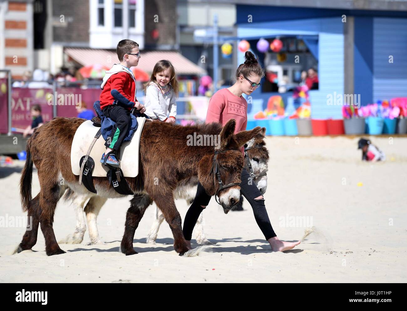 Donkey rides on Weymouth Beach, Dorset, UK. Children enjoy a donkey ...