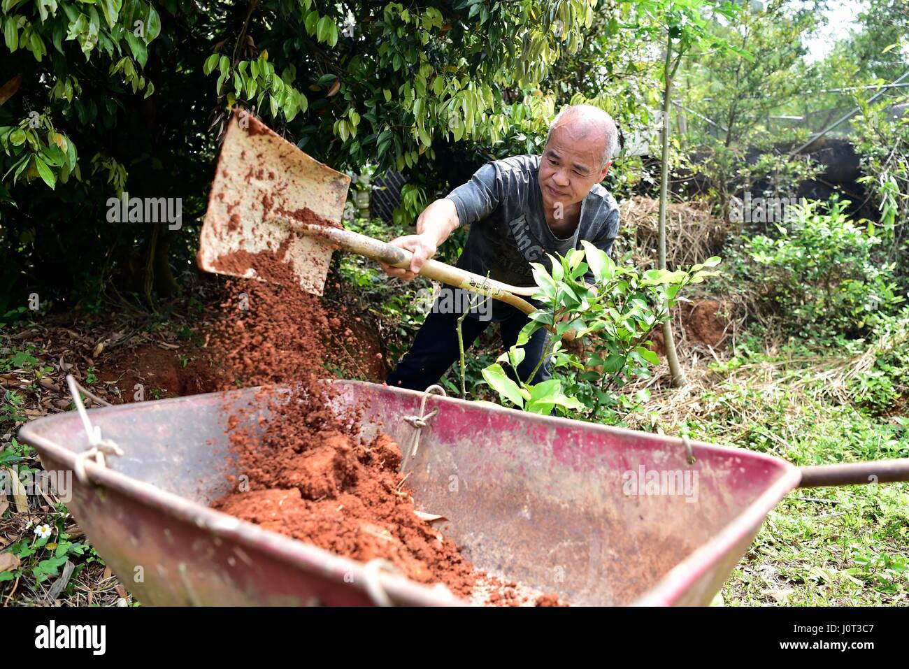 Taipei. 16th Apr, 2017. Ceramist Chen Chin Wang collects red clay in ...