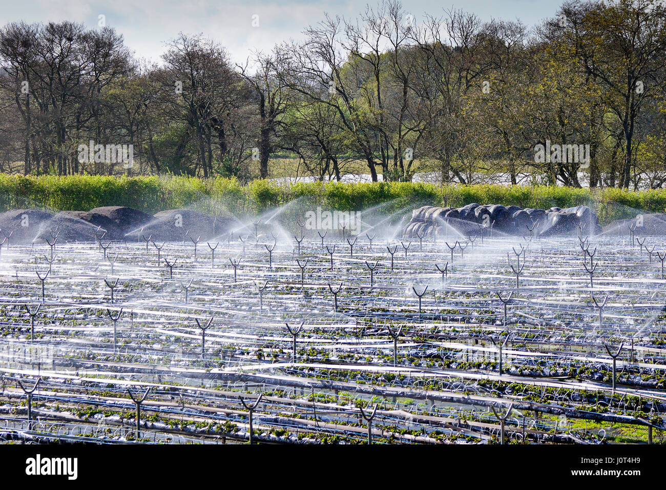 Tuesley farm hi-res stock photography and images - Alamy