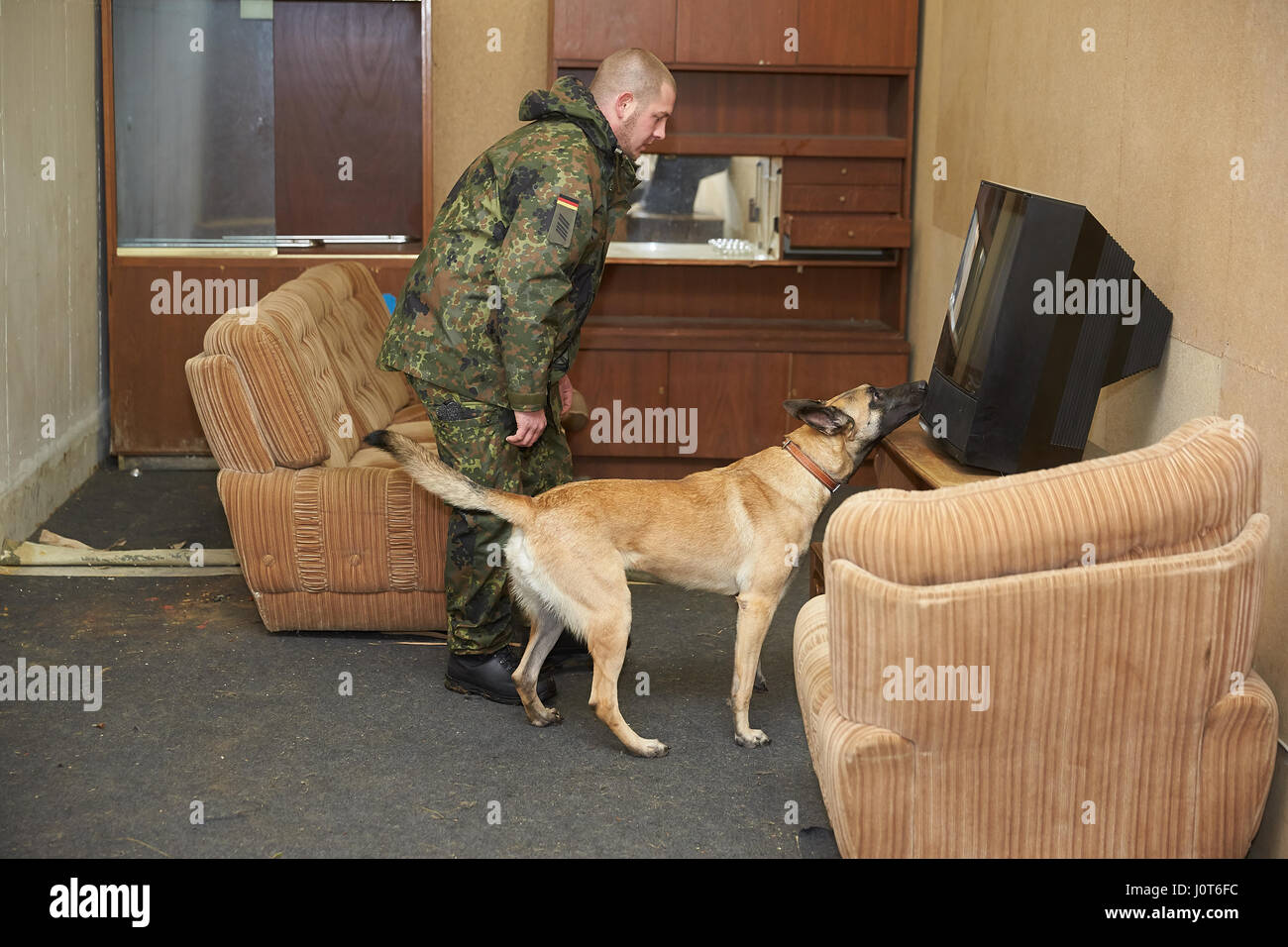 Ulmen, Germany. 21st Feb, 2017. An explosive detective dog during a set ...