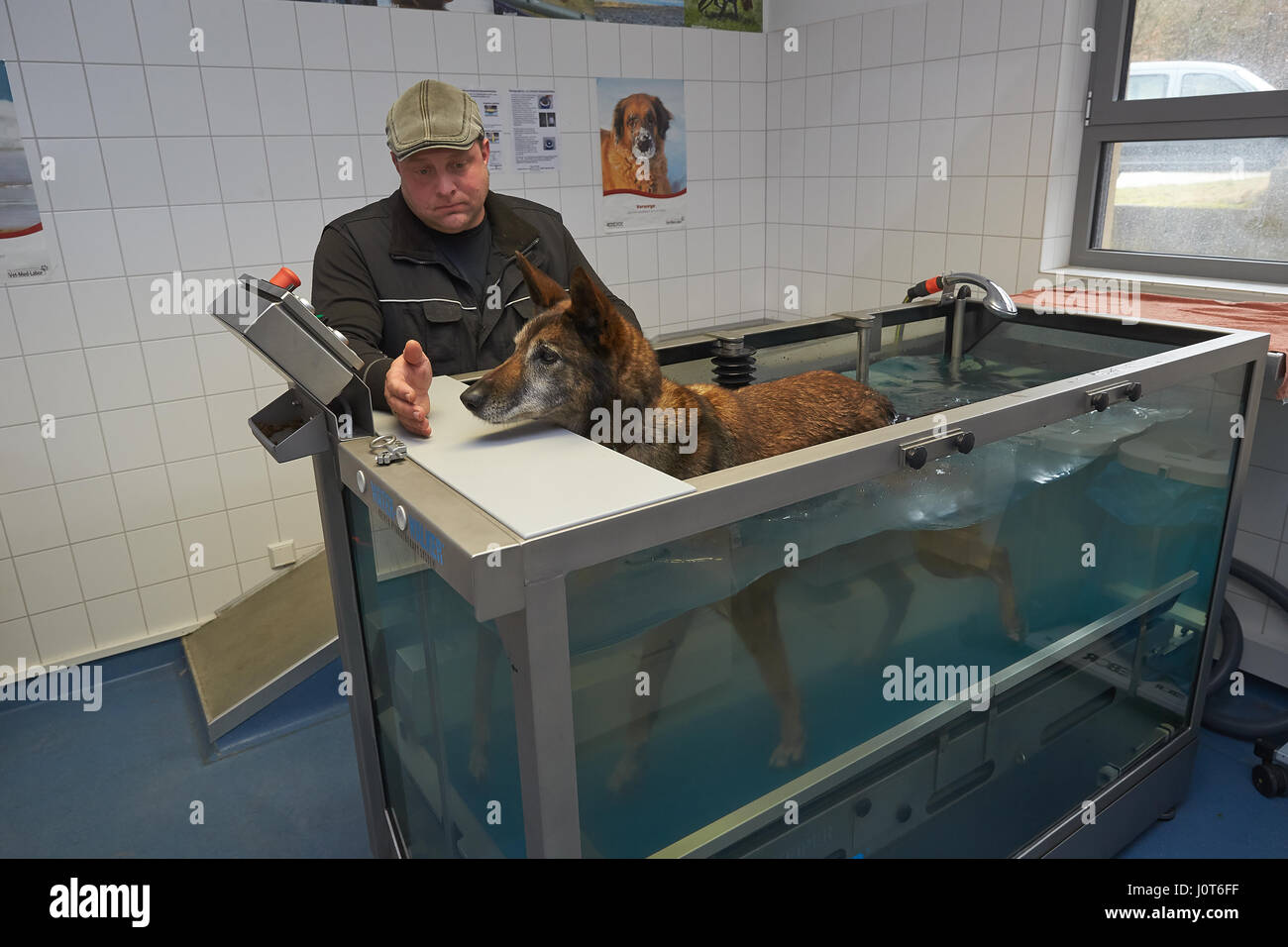 Ulmen, Germany. 21st Feb, 2017. A service dog from the German Armed ...