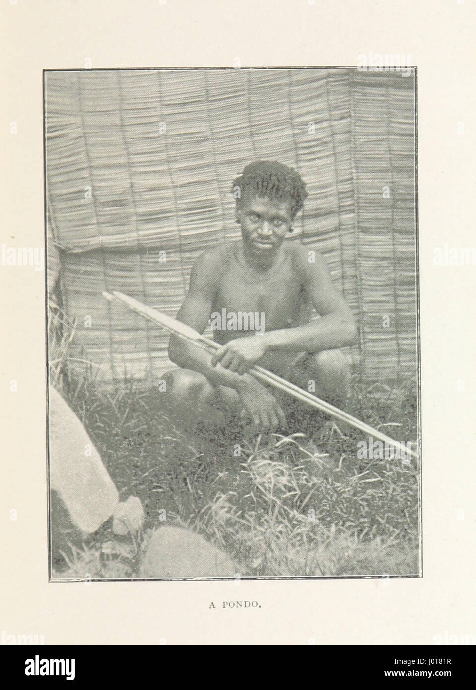 The Africander. A plain tale of colonial life ... Illustrated Stock ...