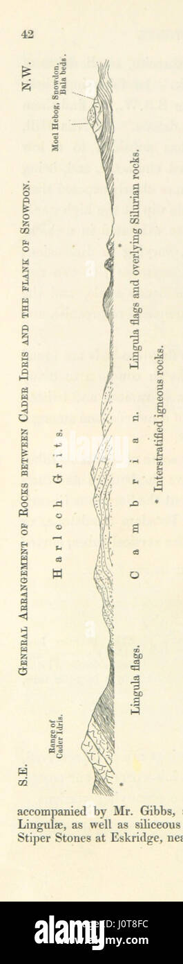 'Siluria' explores the oldest known rocks containing organic remains ...