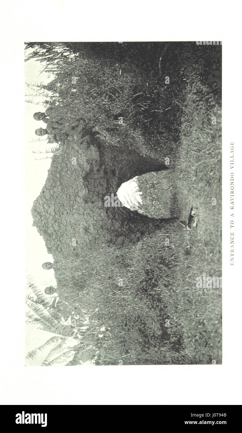 Study provides in depth Cut Out Stock Images & Pictures - Alamy