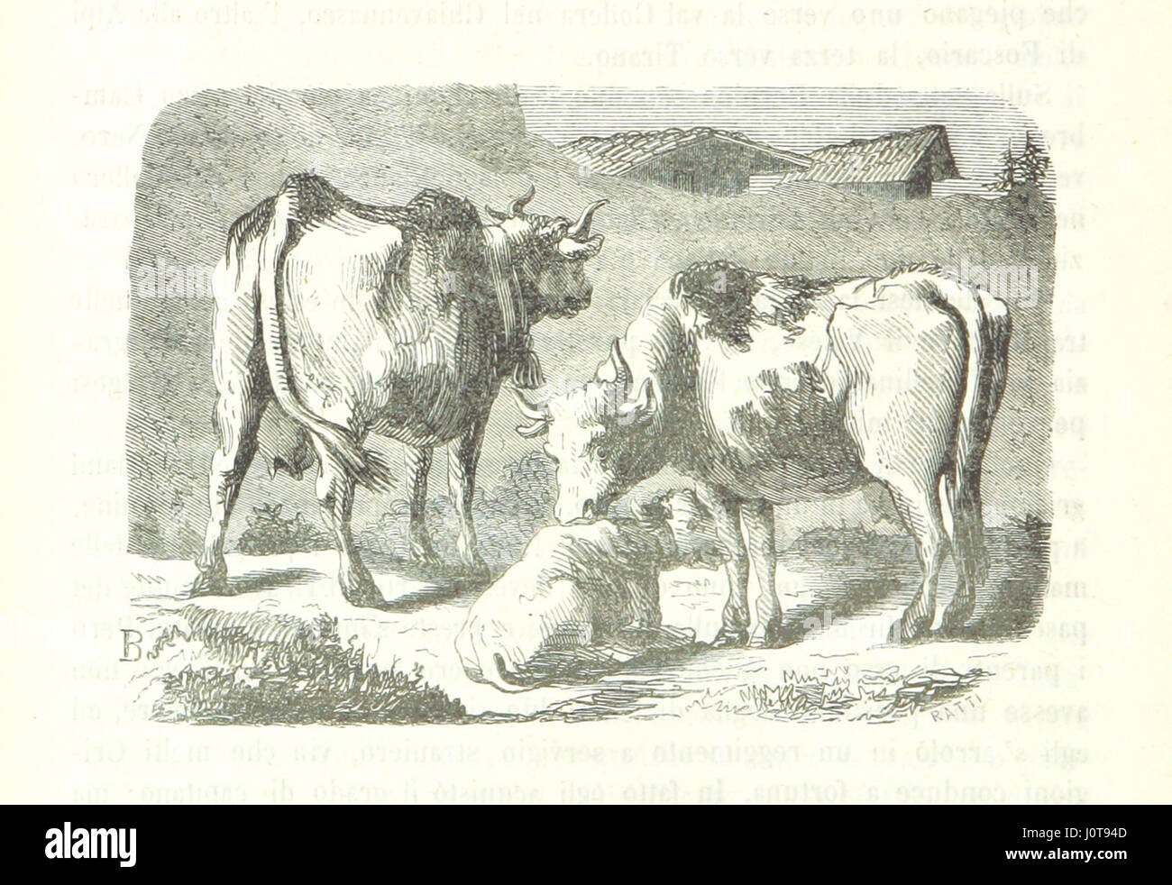 A detailed illustration of the Lombardo-Veneto region's history ...