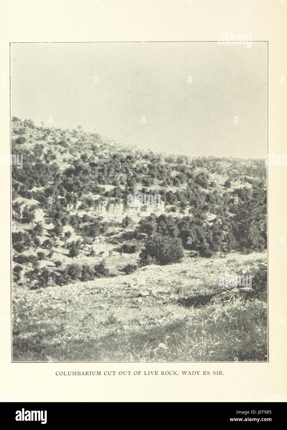 This work examines the ancient regions of Moab, Ammon, and Gilead ...