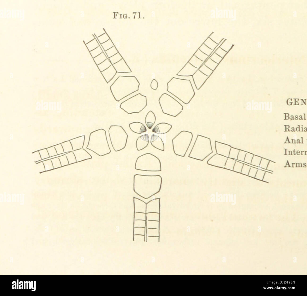 This report presents the findings from the geological survey of Iowa ...
