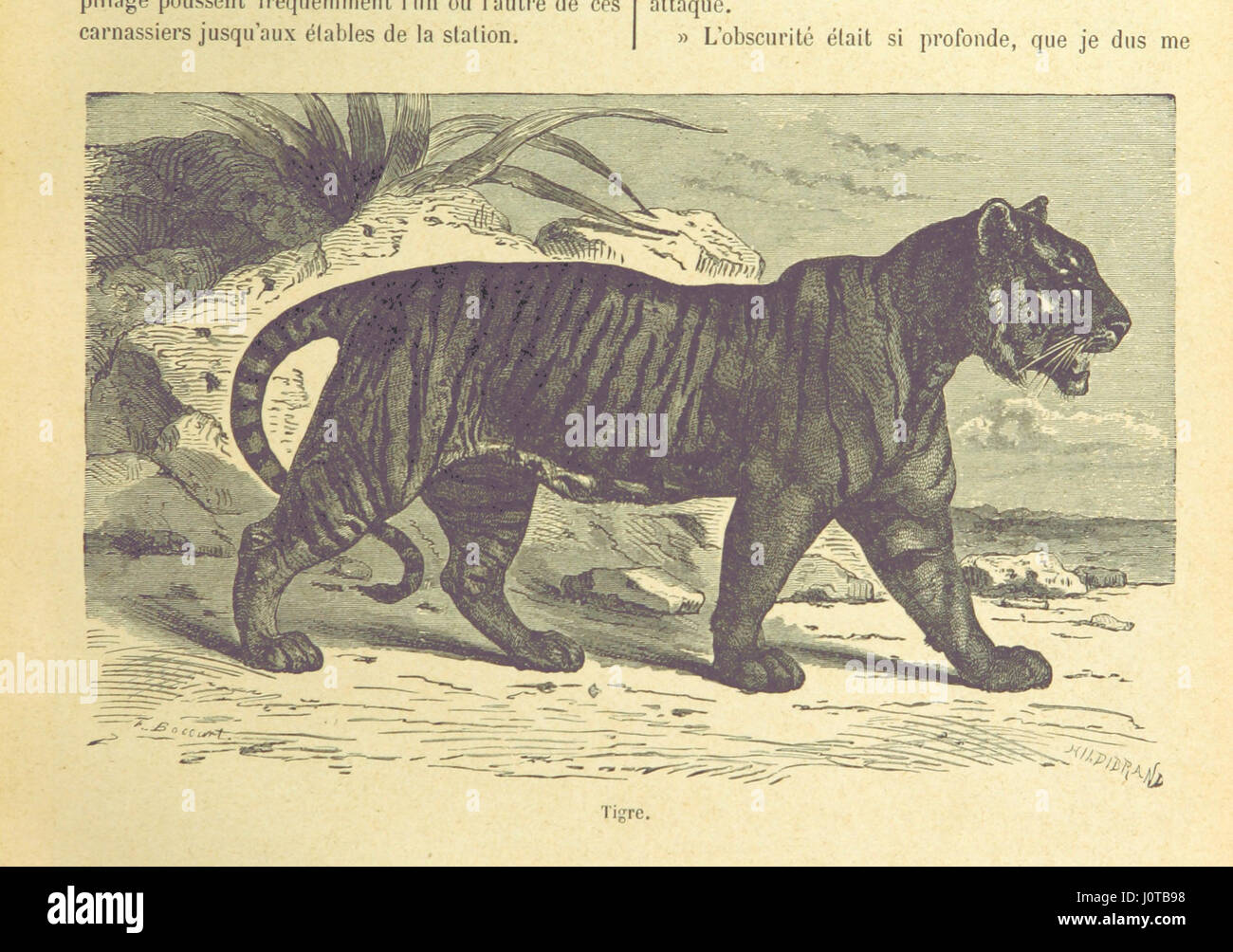 This book, 'Le Congo en images', tells the story of the Congo to ...