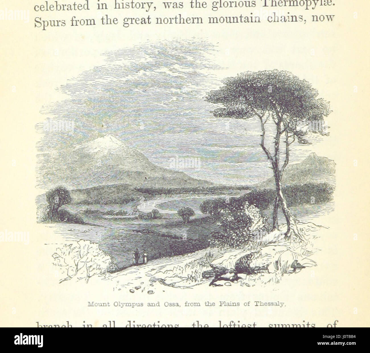 An overview of Greek history, tracing its development from its earliest ...