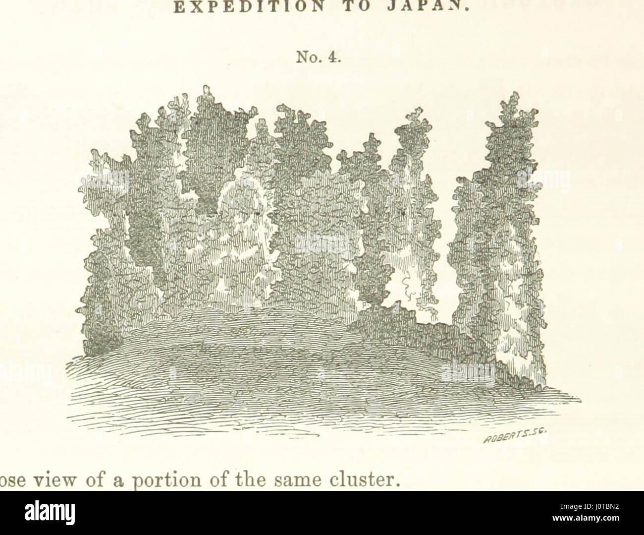 This narrative details the American expedition to the China Seas and ...