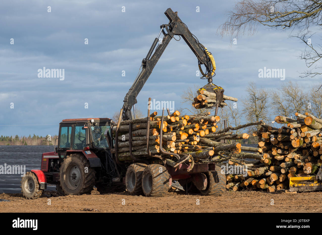 Timber truck hi-res stock photography and images - Alamy