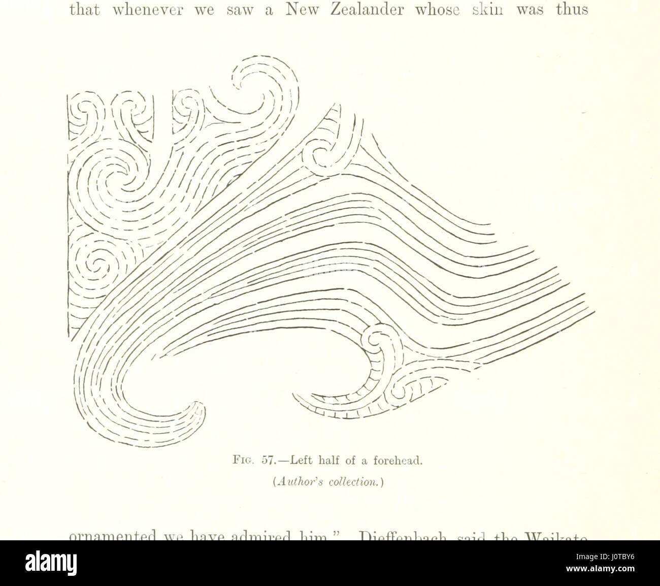 *Moko; or, Maori Tattooing* examines the practice of tattooing among ...