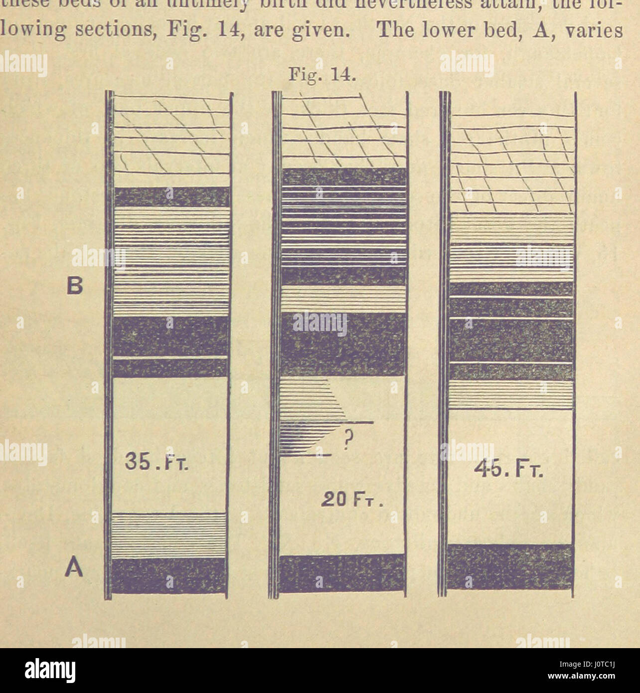 A manual that examines coal and its topography, offering detailed ...