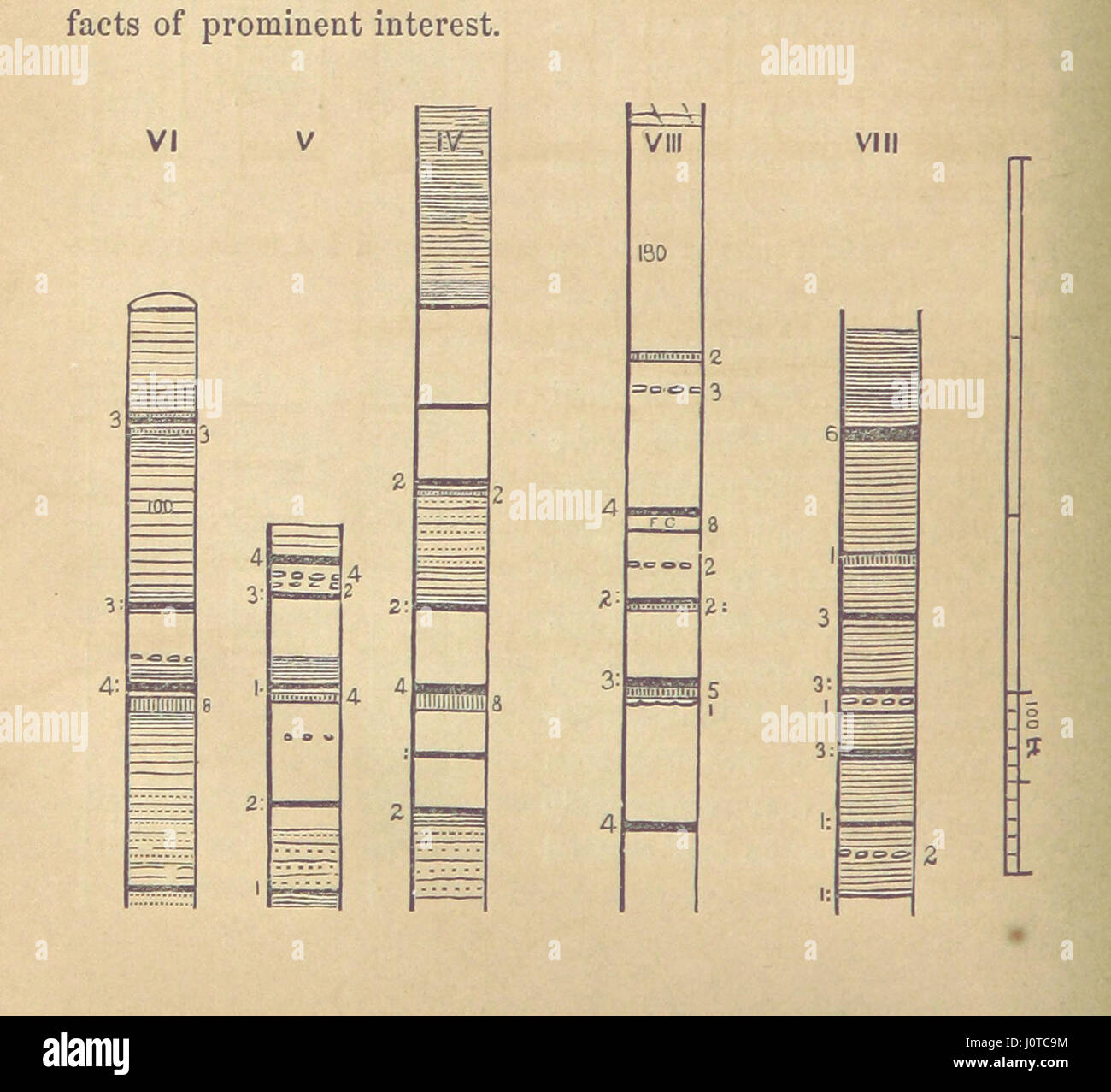 This manual focuses on coal, its properties, and the geographical ...