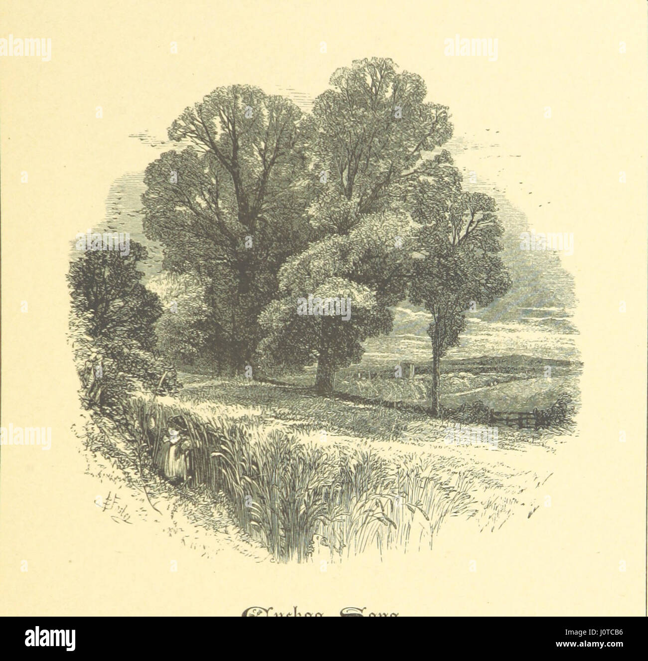 'Dawn to Daylight' is a collection of poetic works spanning twelve ...