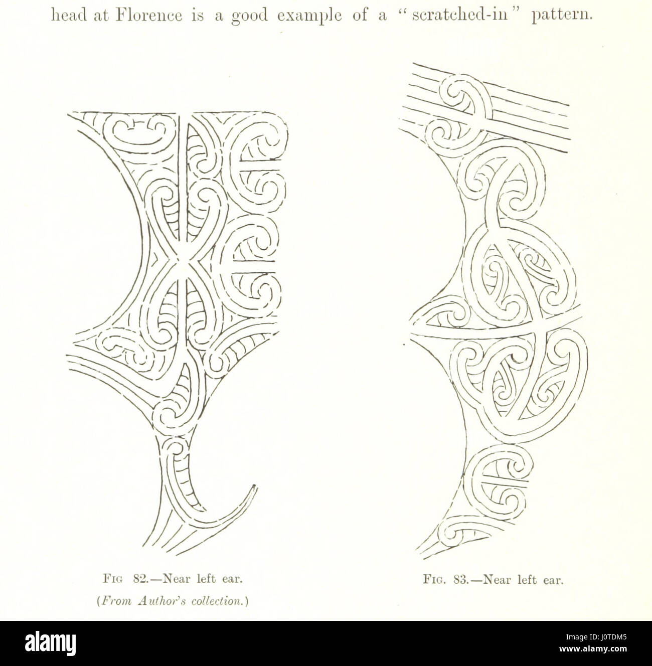 'Moko; or, Maori Tattooing' explores the cultural significance of Maori ...