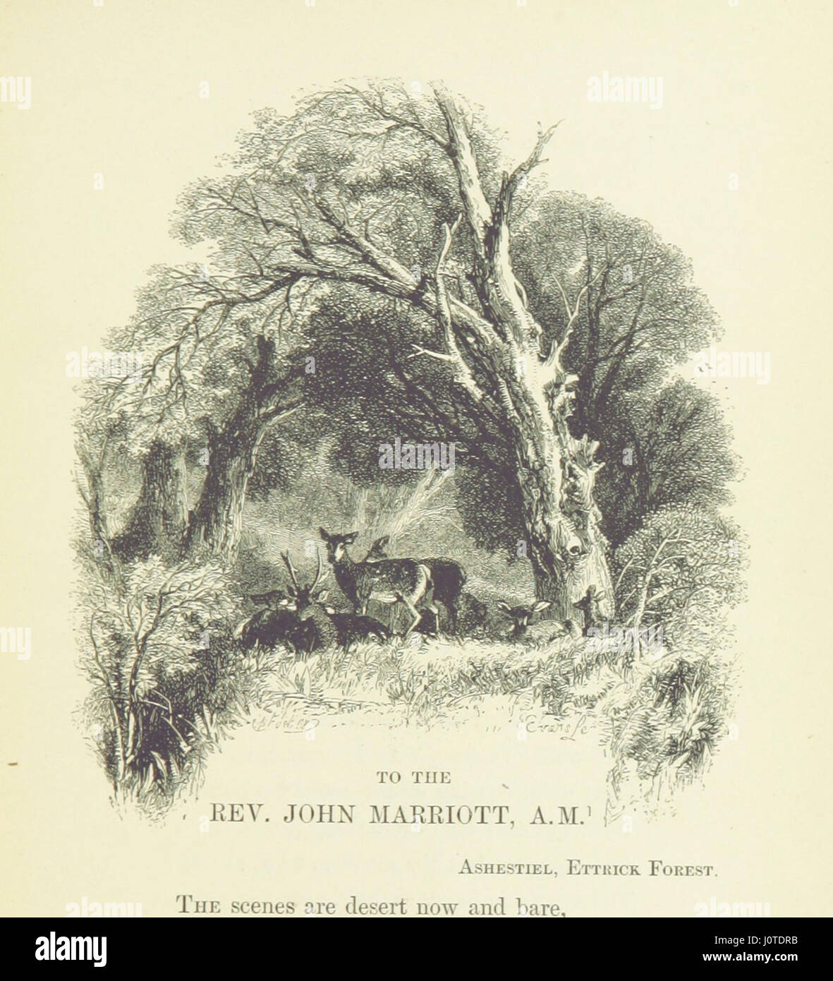 John marmion hi-res stock photography and images - Alamy