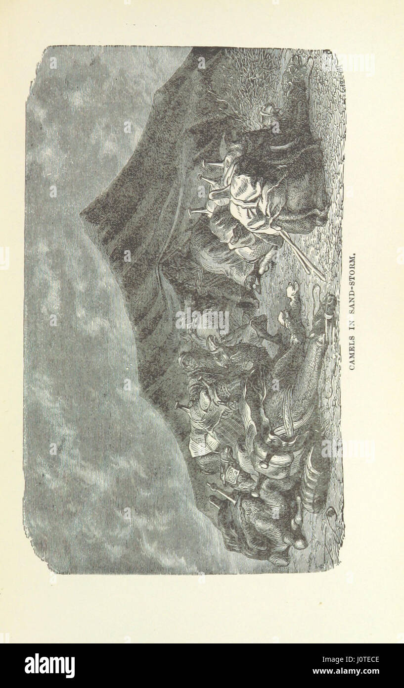 A collection designed for young readers, offering concise insights into ...