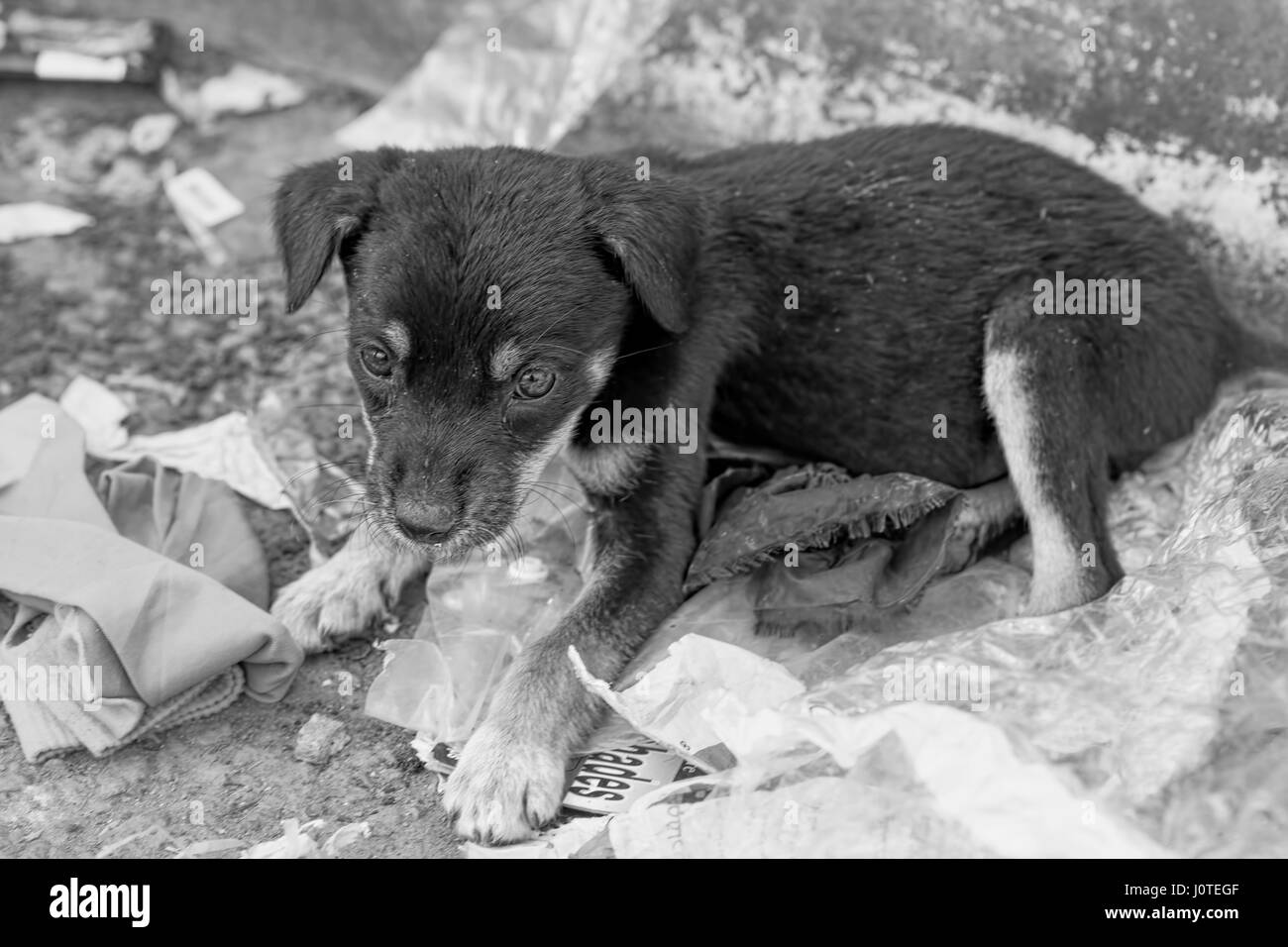 Sadness small Black and White Stock Photos & Images - Alamy