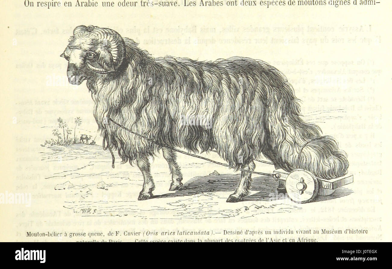 This collection covers ancient and modern travelers, from the 5th ...