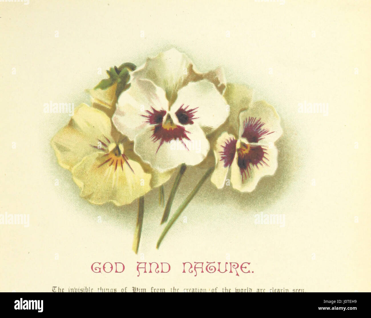 Precious Thoughts from Keble. [With coloured illustrations.] Stock ...