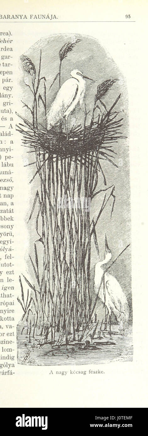 'Baranya multja es jelenje' (The Past and Present of Baranya) provides ...