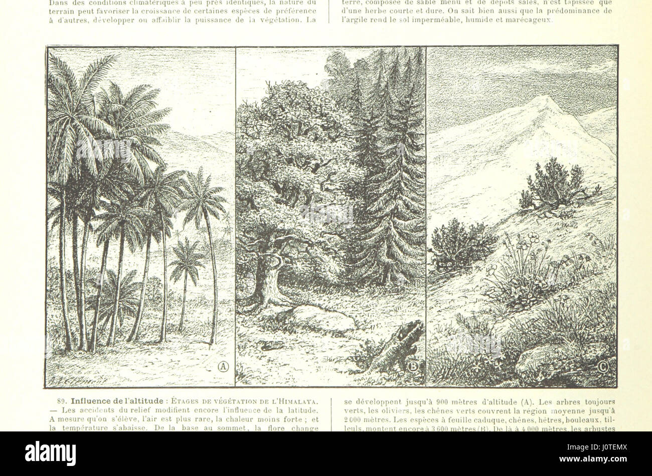 This geographical album includes a collection of illustrated depictions ...
