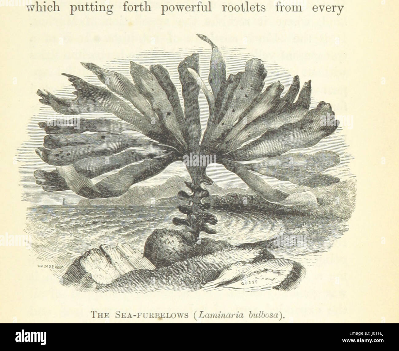 This book explores the physical characteristics of the world's oceans ...