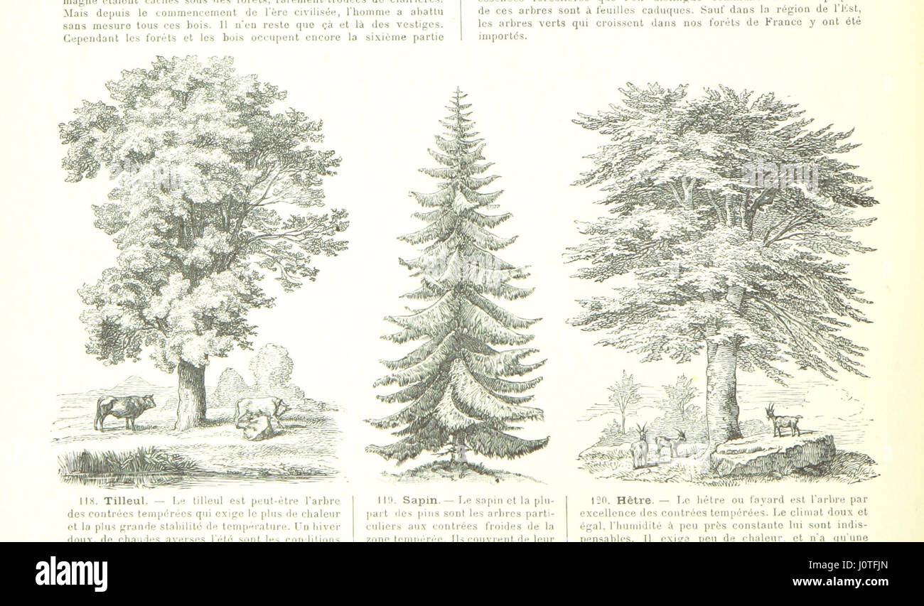 This album presents visual representations of various geographical ...