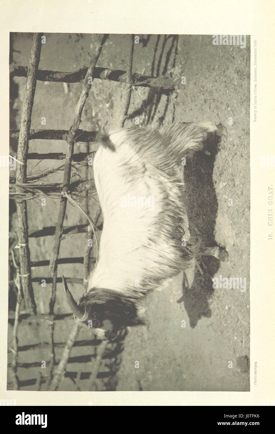 'The Chin Hills' offers a detailed history of the Chin people, their ...