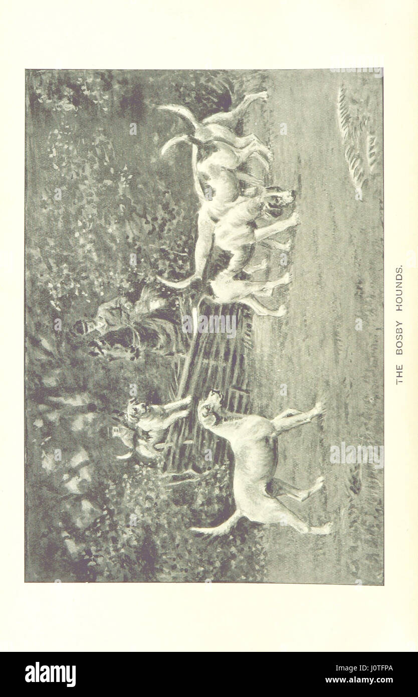 'Mr. Spinks and his Hounds' is a hunting story that follows the ...